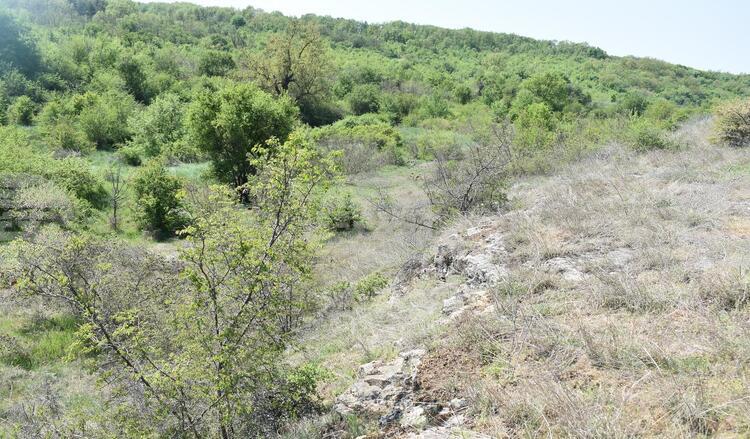 BTA :: New Protected Area Declared in Kushin, N Bulgaria