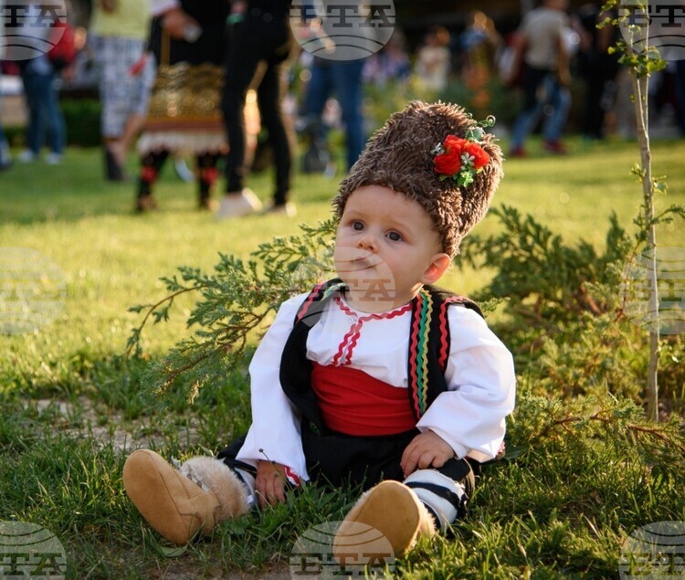 BTA :: Government Adopts Three-Year Action Plan for Implementation of Maternal and Child Health ...