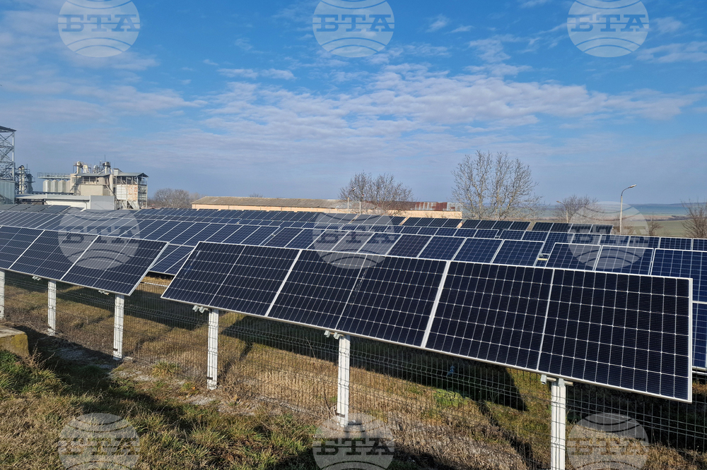 BTA :: Solar Academy: Bulgaria Risks Falling Behind in Energy Transition