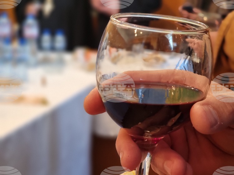 BTA :: Tourism Organisation Chooses Plovdiv as Best Wine Capital in ...