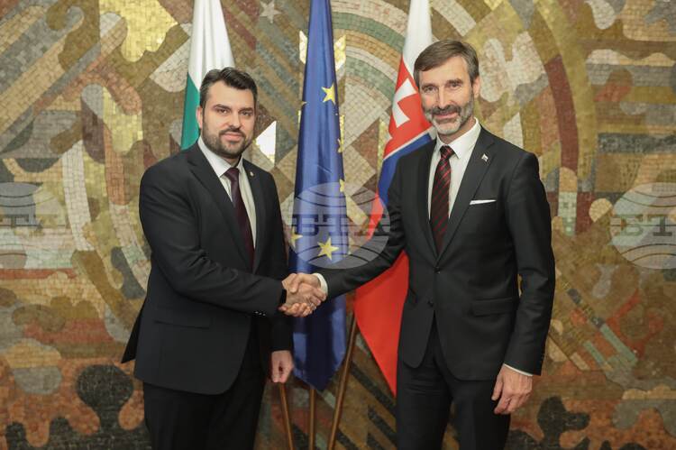 БТА :: Георг Георгиев след срещата си със словашкия външен министър ...