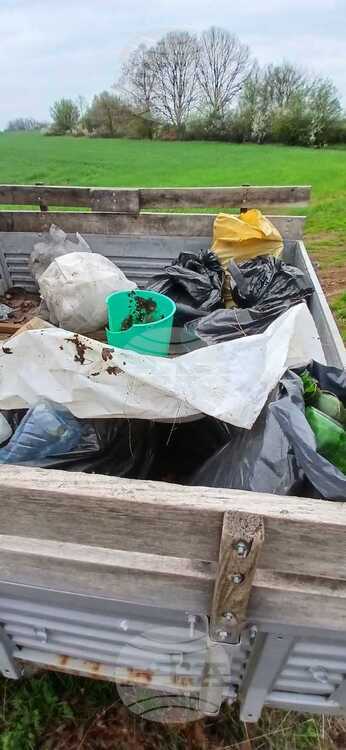 БТА :: Служители на Държавно горско стопанство - Преслав извършват ...