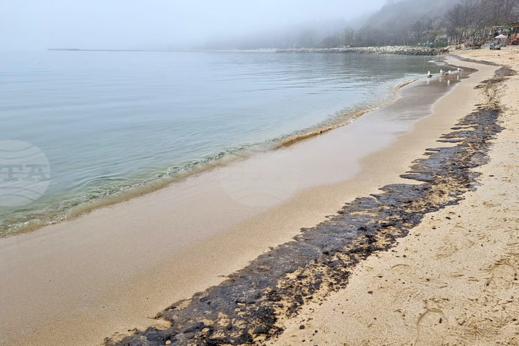 BTA :: Fuel Oil Washes Up on Bulgarian Shore, Authorities Examine Nine ...