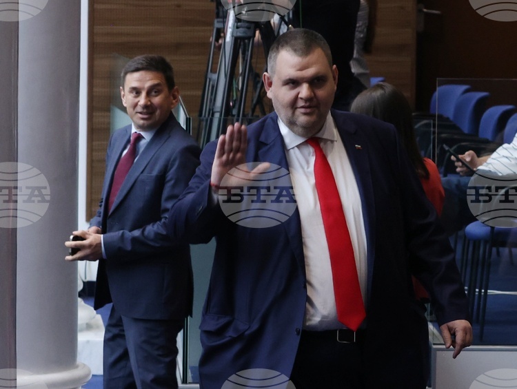 BTA :: Court Registers Delyan Peevski as Sole Leader of Movement for ...