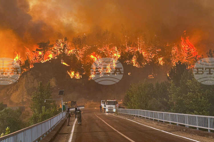BTA :: Turkiye Continues to Battle Four Major Wildfires, 21 Detained in ...