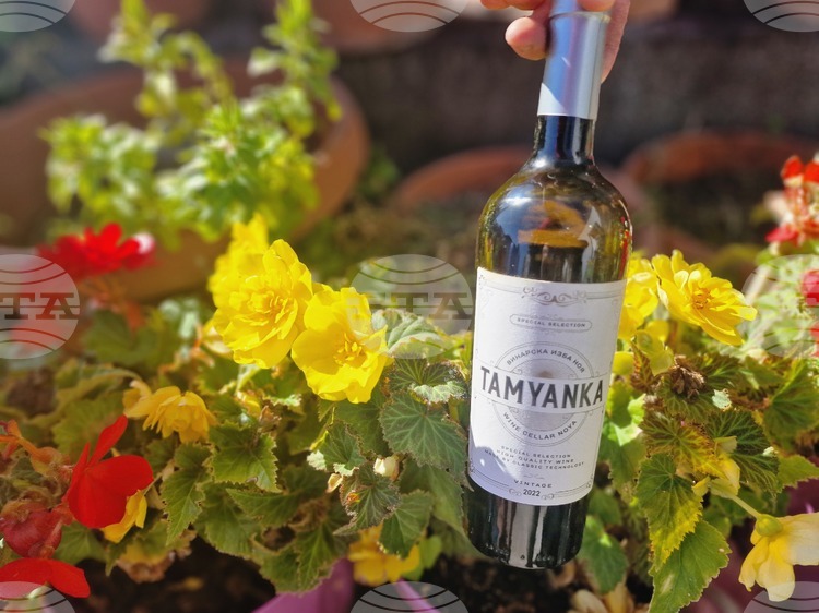 БТА :: Снимка