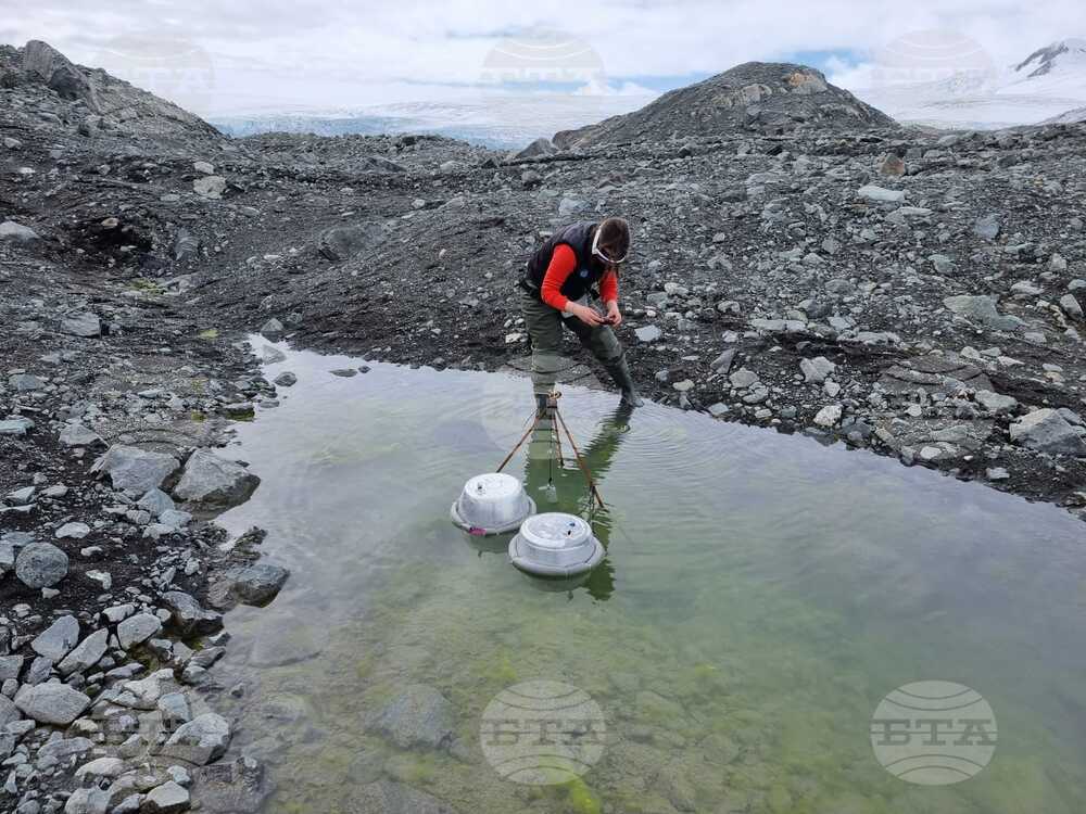 BTA :: Day 85: Hydrobiologist Vessela Evtimova: Copepods Boeckella poppei Reign Over Livingston ...