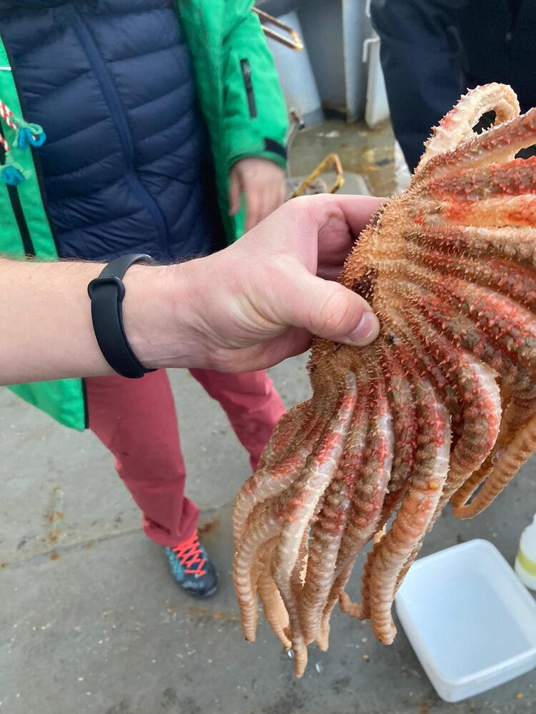 БТА :: Антарктическите води разкриха за довиждане едно от чудесата си ...
