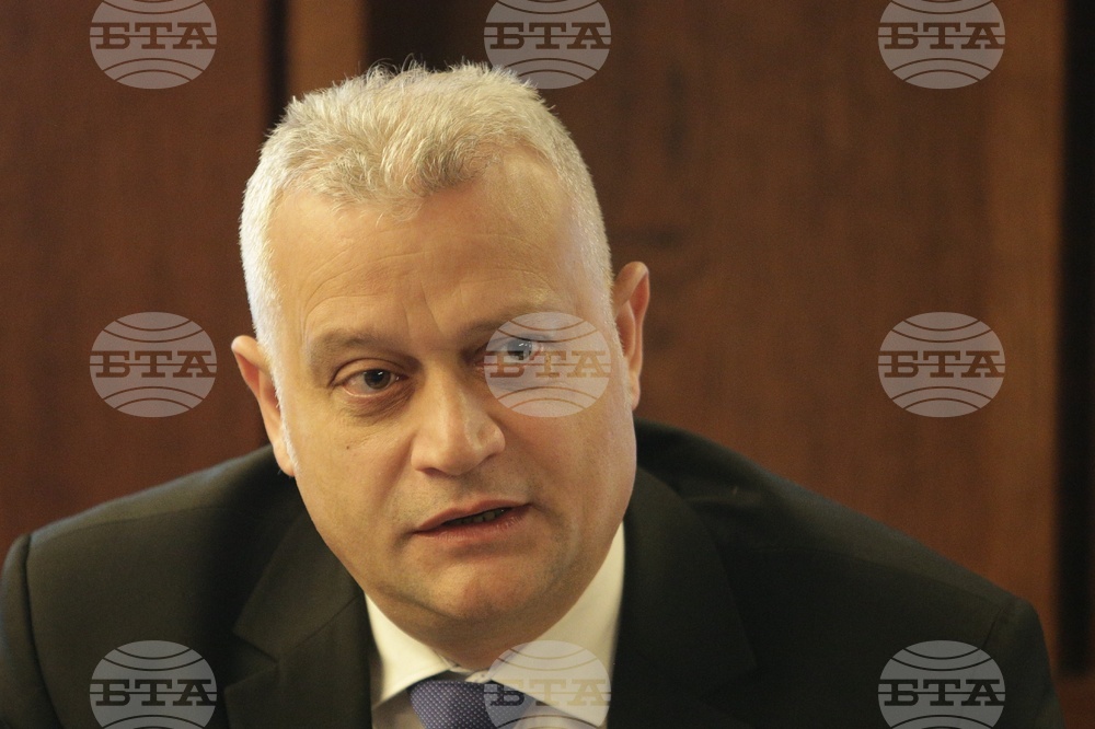 BTA :: Deputy Minister Dechev to Council of Europe: Bulgaria Showed ...