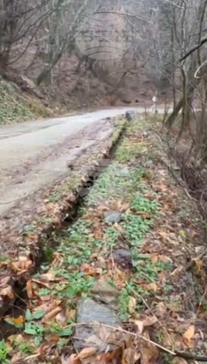 БТА :: Община Петрич предприема мерки за обезопасяване на пътя към хижа ...