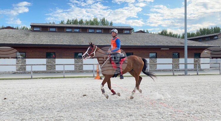 BTA :: Miroslav Borshosh Becomes First Balkan Elite Equestrian in ...