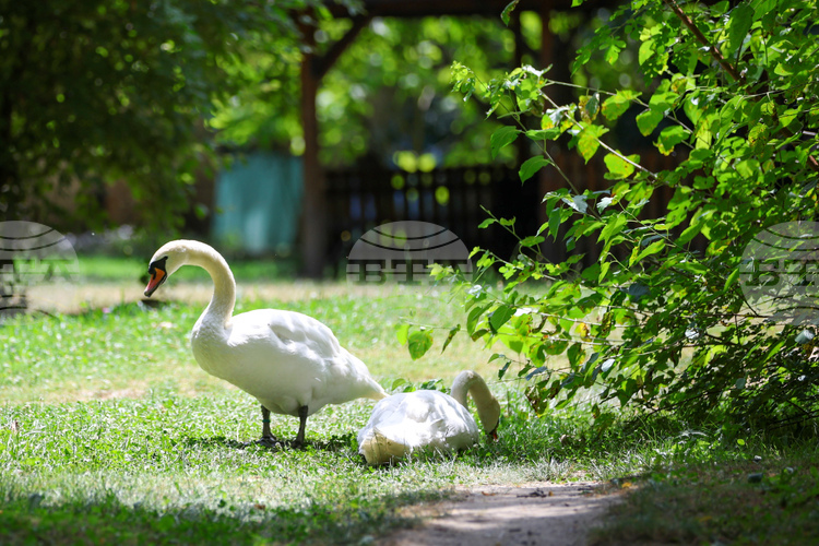 BTA :: Ground Will Be Broken for New Area within Sofia Healthy Corridor