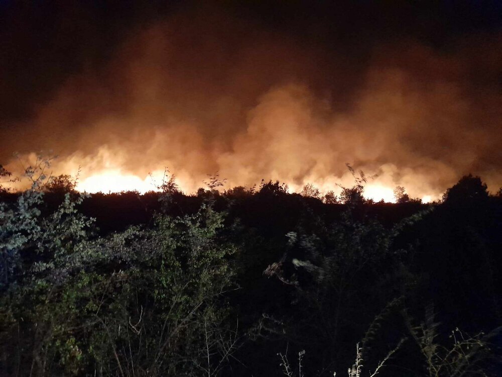 BTA :: Several Wildfires Continue Burning in Southern Bulgaria, People ...