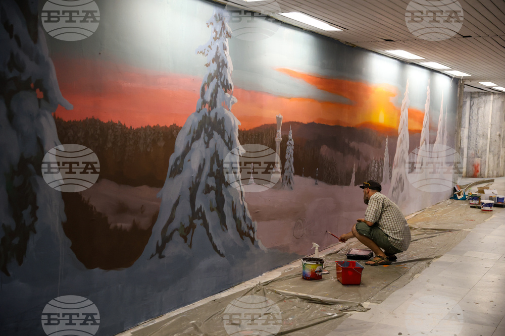 BTA :: Four-Seasons Graffiti in Busy Sofia Underpass Draw Attention to ...
