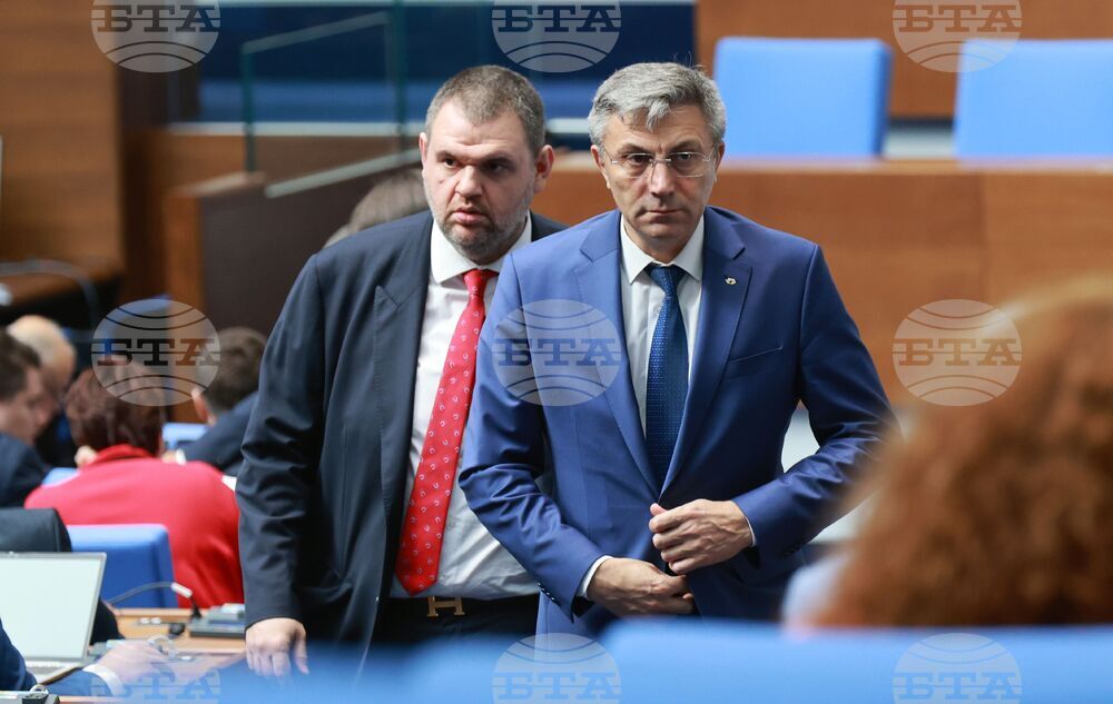 BTA :: Peevski Joins Karadayi as Co-Floor Leader of Movement for Rights ...