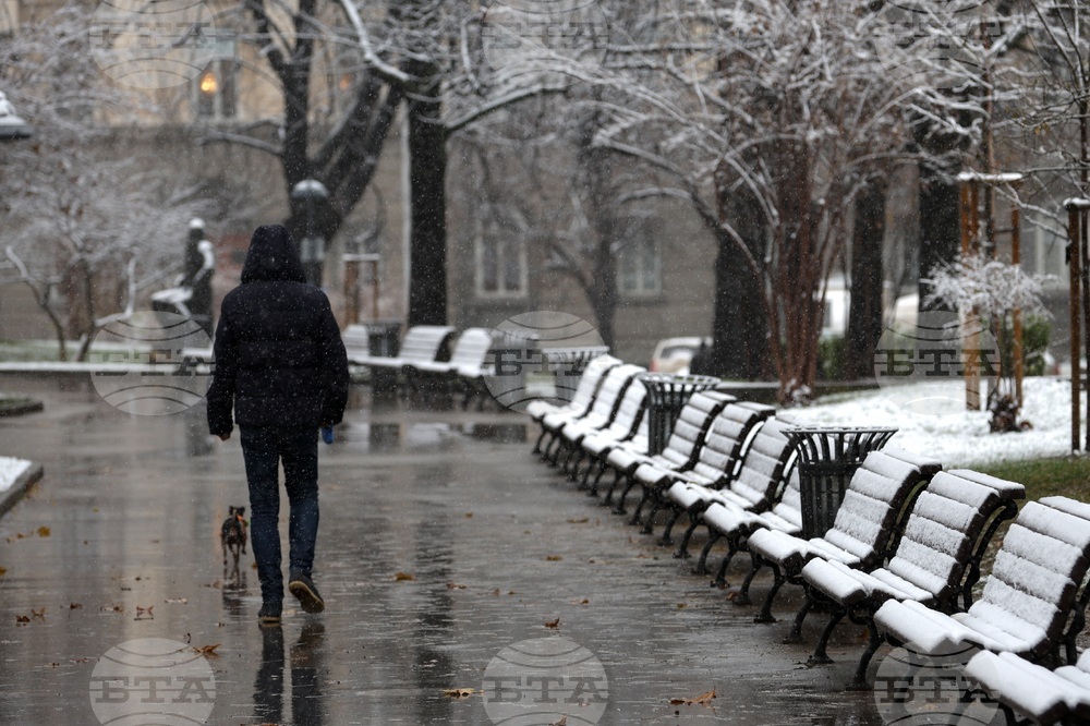 BTA :: Yellow Code Alert for Heavy Snow and Rain Issued in Seven ...