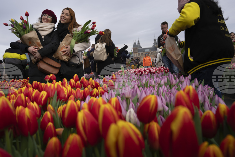BTA :: Dutch Flower Exports Grow Thanks to Eastern Europe