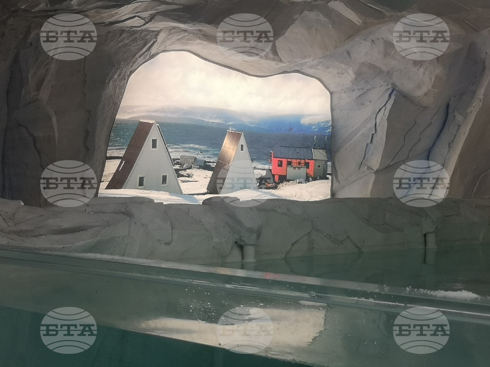 BTA :: Polar Fish to Be on Display in Plovdiv Natural History Museum