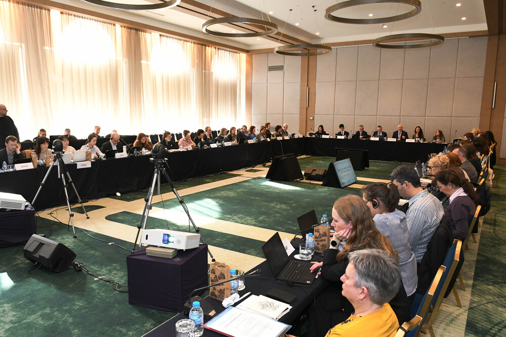 BTA :: Bulgaria Hosts Meeting of OECD Implementing Education Policy Network