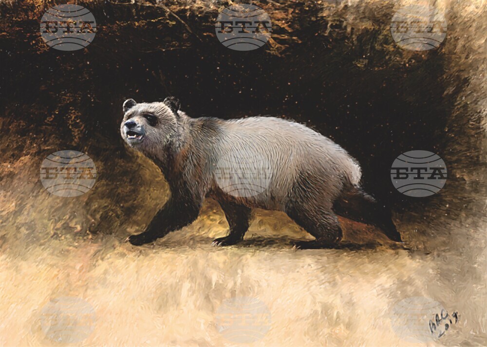 BTA :: Bulgarian Paleontologist Identifies New Panda Species that Lived ...