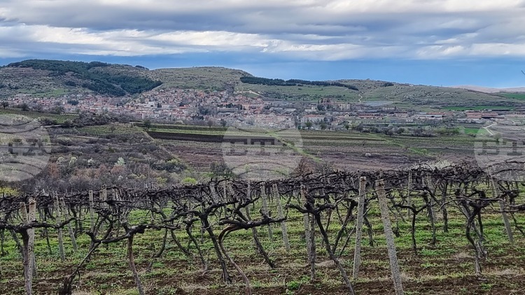 BTA :: Cabinet Secures Another BGN 200 Million to Support Bulgarian Farmers