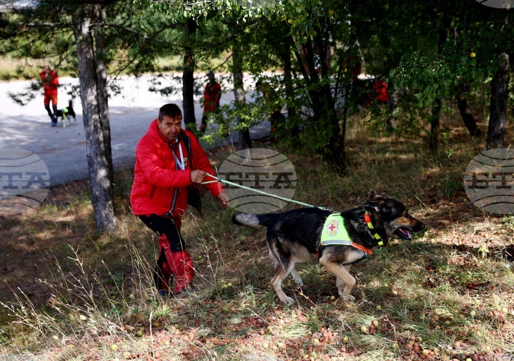 BTA :: Over 1,800 People Saved by Mountain Rescue Service in 2023