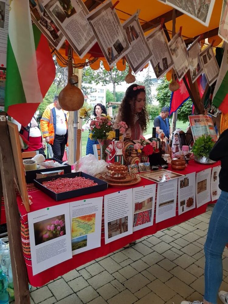 БТА :: България беше представена на фестивала на малцинствата в Млада ...