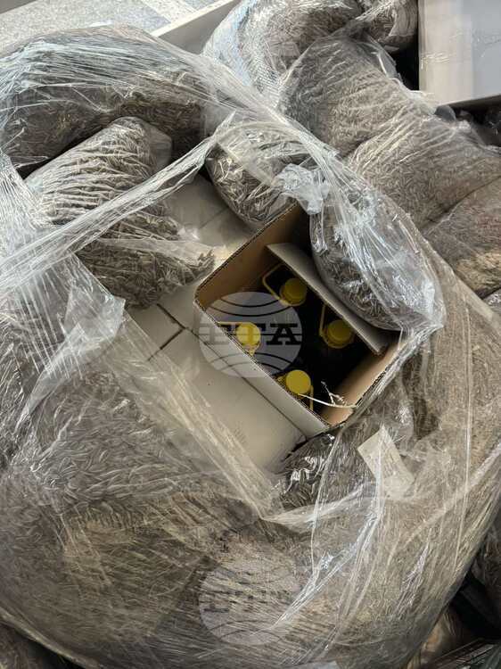 BTA :: Bulgarian Customs Hauls 3,220 Litres of Undeclared Olive Oil ...