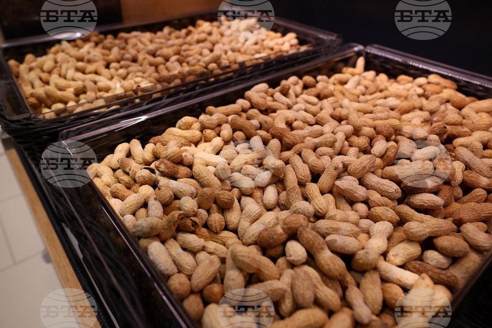 Bta 18 Tonnes Of Egyptian Peanuts Stopped At Border Due To Health Risk