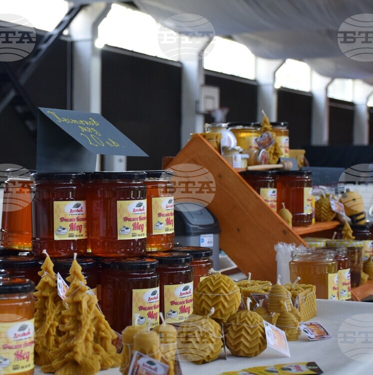 BTA :: Experts Pool Efforts to Save Bulgaria’s Largest Natural Chestnut ...