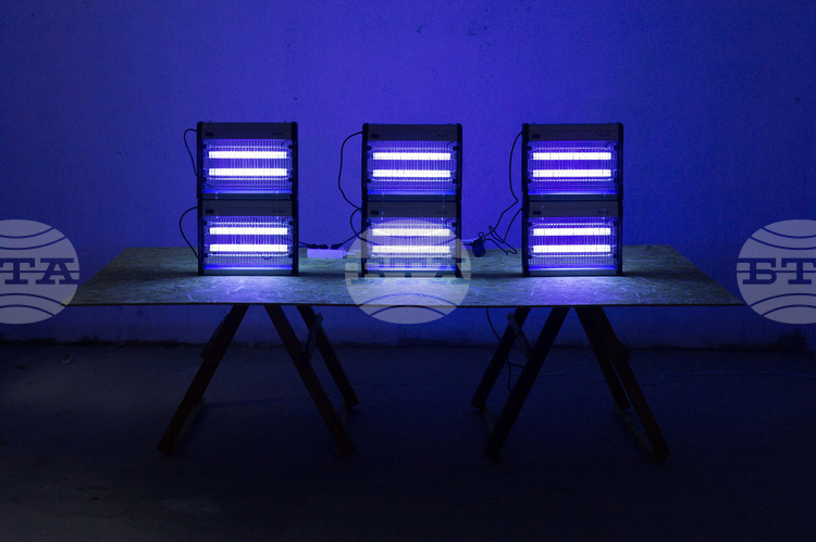 BTA :: Norwegian Artist Nordby Shows Fake Walls, Insect-Killing Lights ...