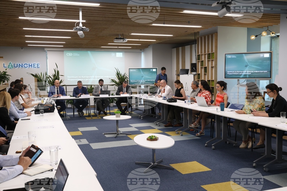 BTA :: Investments Are Needed for Development of Bulgaria's Power Grid