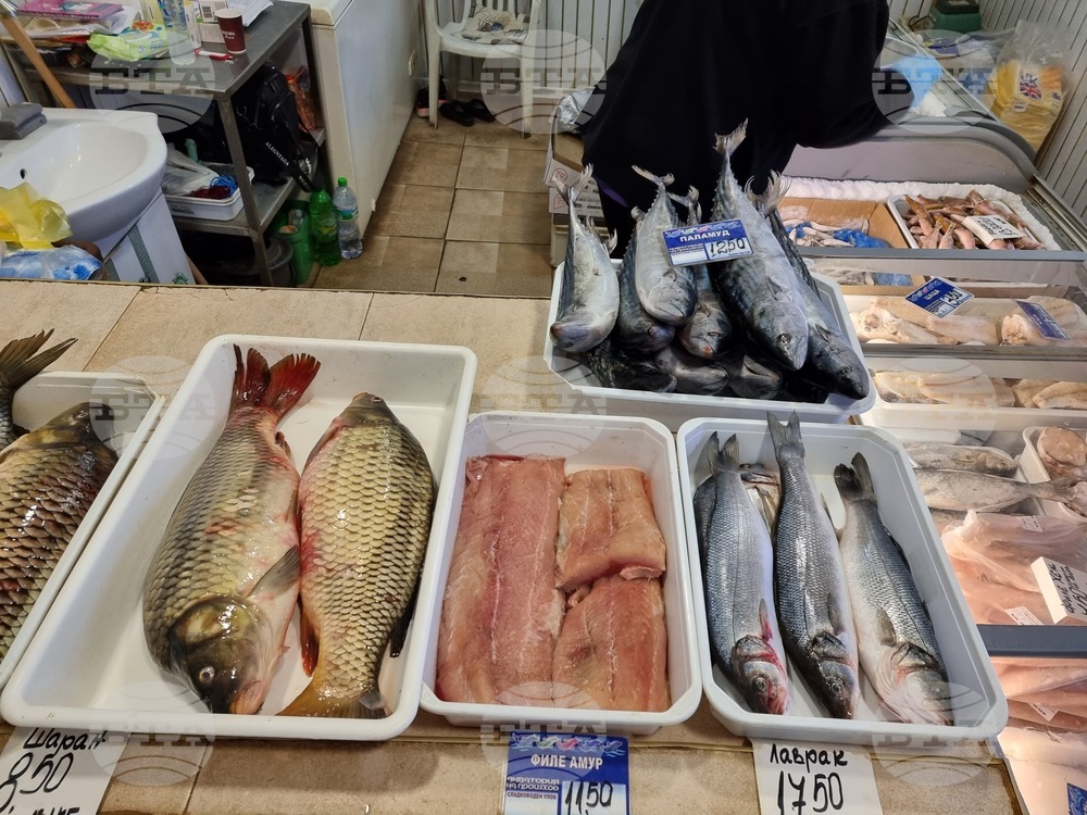 BTA :: Some 70% of Romanian Fish Farms May Go Bankrupt by 2024 - Expert