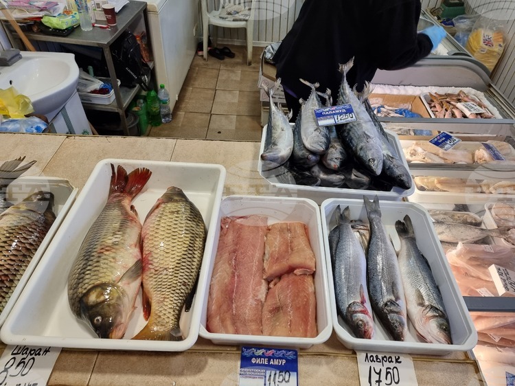 BTA :: Some 70% of Romanian Fish Farms May Go Bankrupt by 2024 - Expert