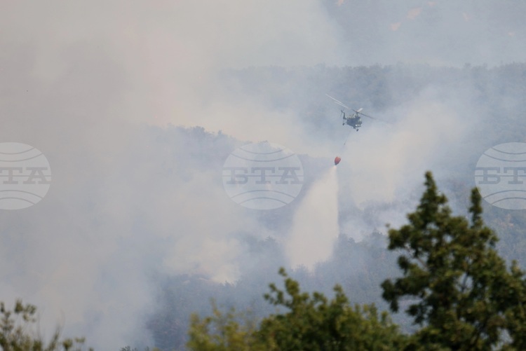 BTA :: EU Continues to Mobilise Support to Tackle Forest Fire Emergencies
