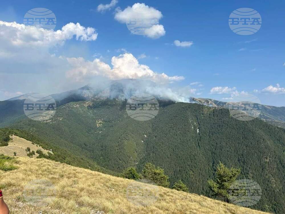 BTA :: Fire Burning in Greece Nears Border with Bulgaria