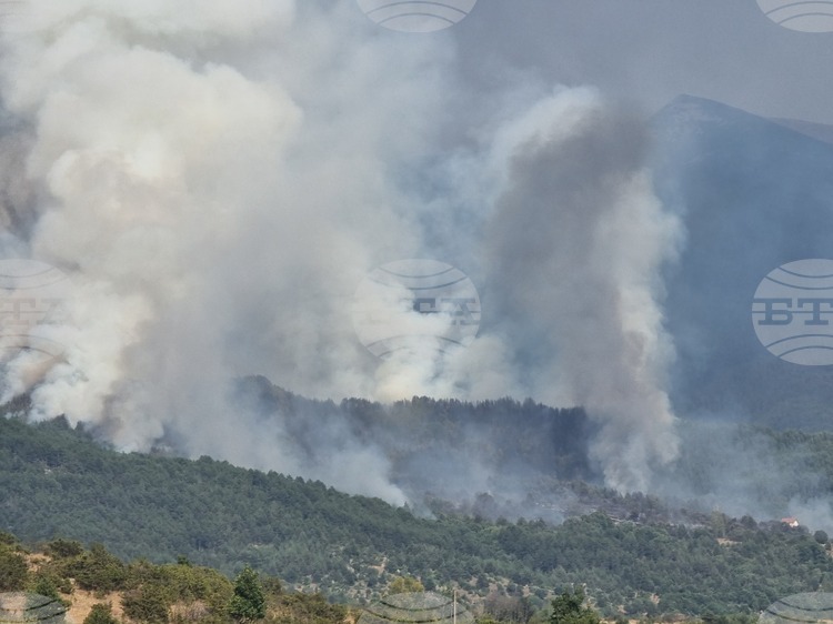 BTA :: Three Major Fires Active in Blagoevgrad Region
