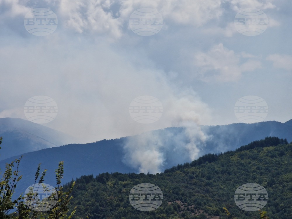 BTA :: Fire Persists on Bulgarian-Greek Border in Slavyanka Mountain