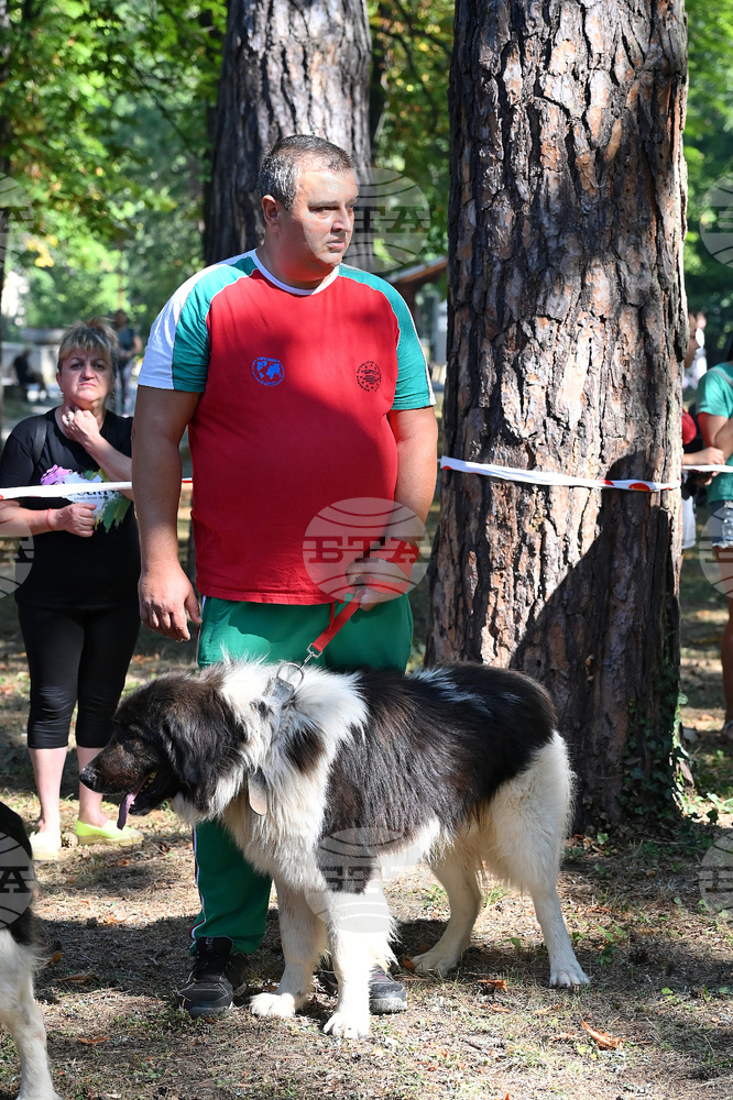 БТА :: За пръв път в Мездра ще има киноложка изложба на „Българско ...