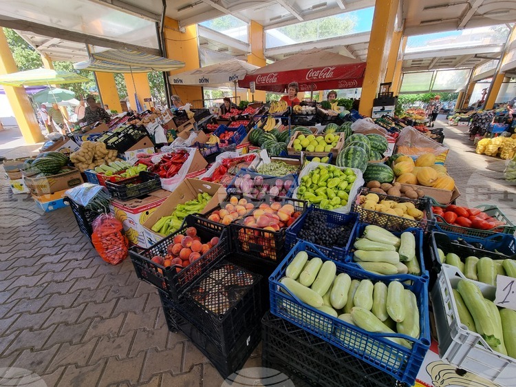 BTA :: Wholesale Prices of Almost All Basic Food Producs, Fruit, Veg Up ...