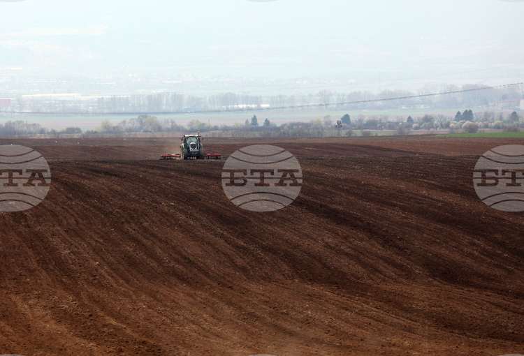 BTA :: Production of Field Crops in Bulgaria Increased in 2024