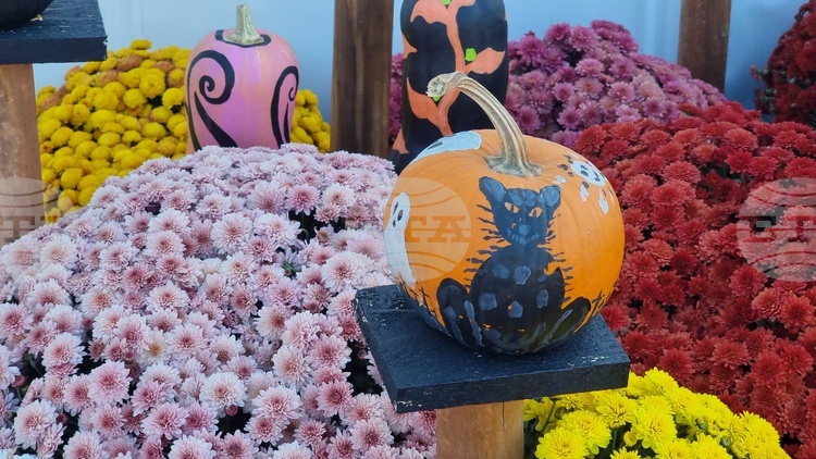 BTA :: 45 Tonnes of Pumpkins Used for Biggest Halloween Festival in Romania