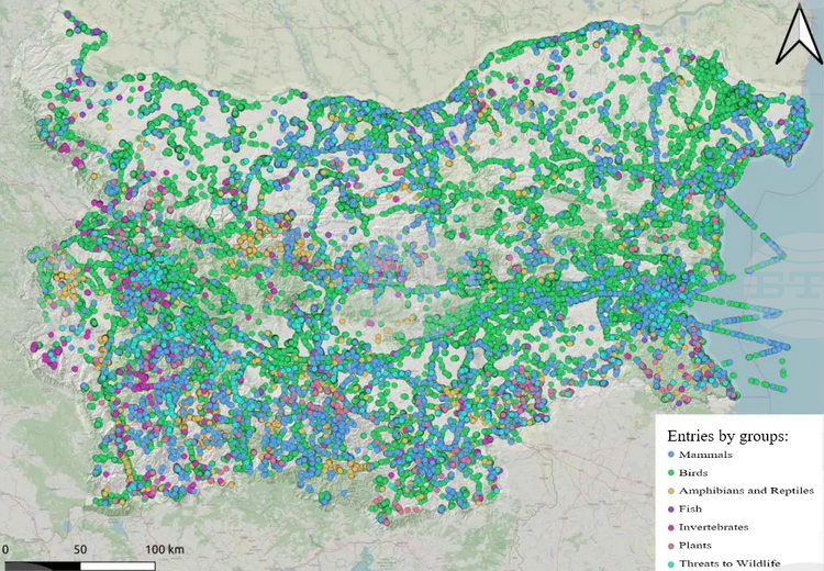 BTA :: SmartBirds Information System Helps Collect Data on 1,032 Animal ...